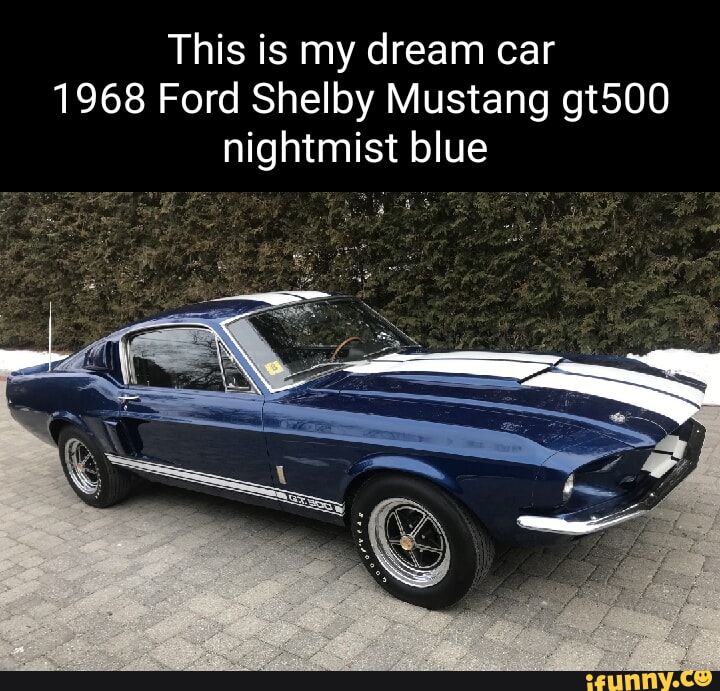 This is my dream car 1968 Ford Shelby Mustang gt500 nightmist blue - iFunny