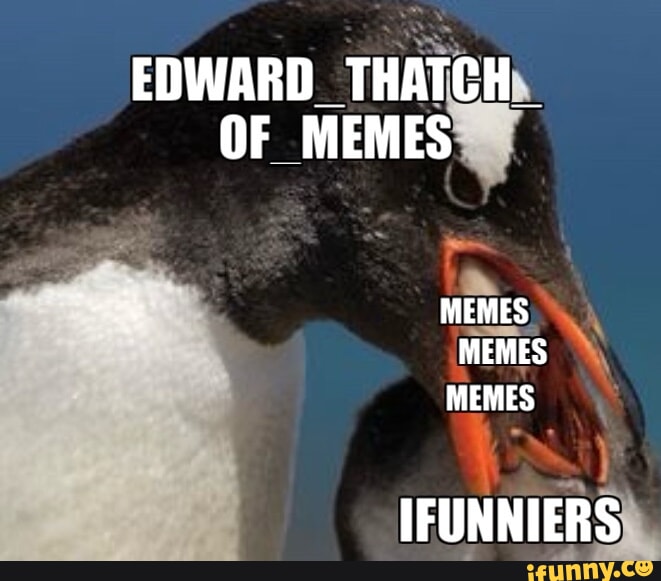 EDWARD THATCH OF MEMES MEMES MEMES MEMES IFUNNIERS - iFunny