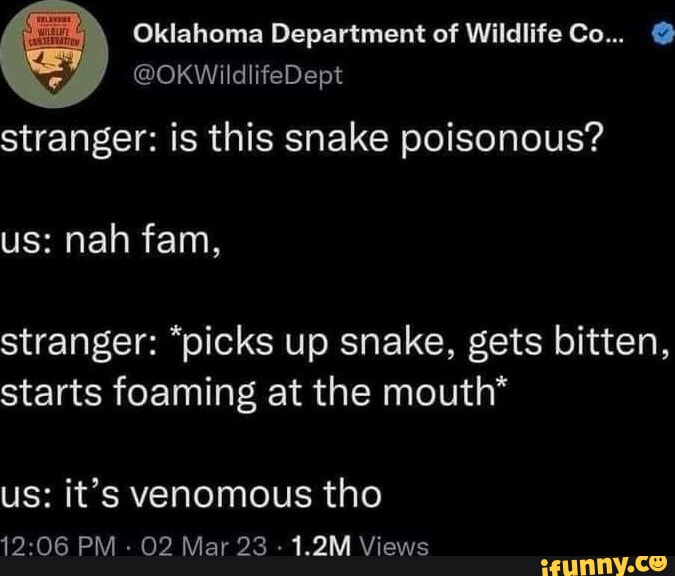 Snakes memes. Best Collection of funny Snakes pictures on iFunny