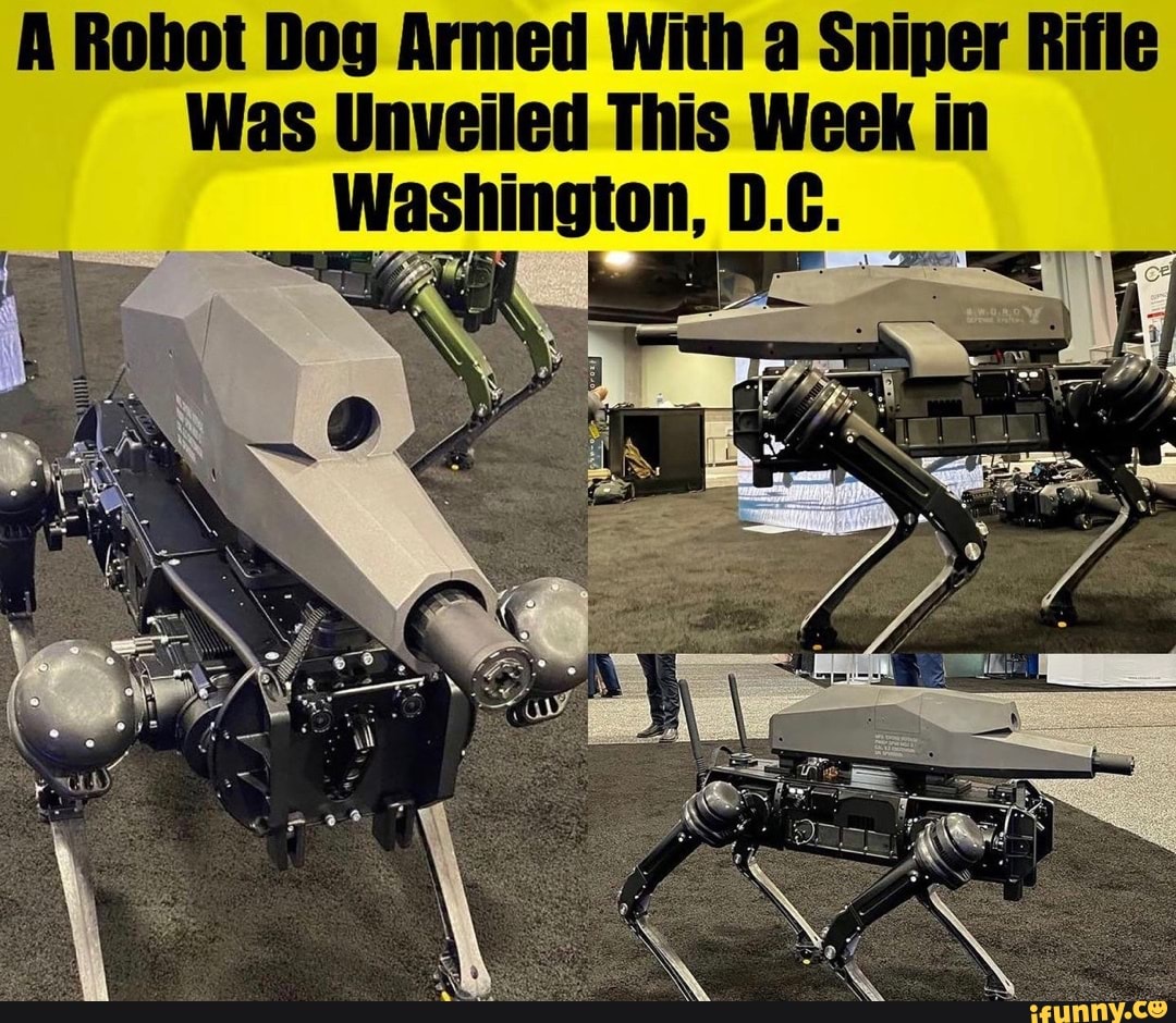 A Robot Dog Armed With a Sniper Rifle Was Unveiled This Week in ...