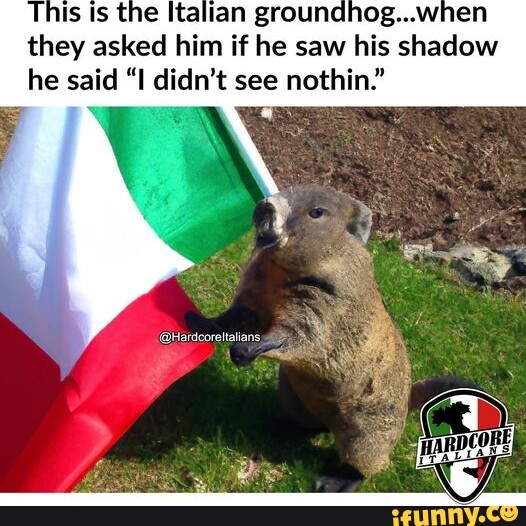 This is the Italian groundhog...when they asked him if he saw his ...