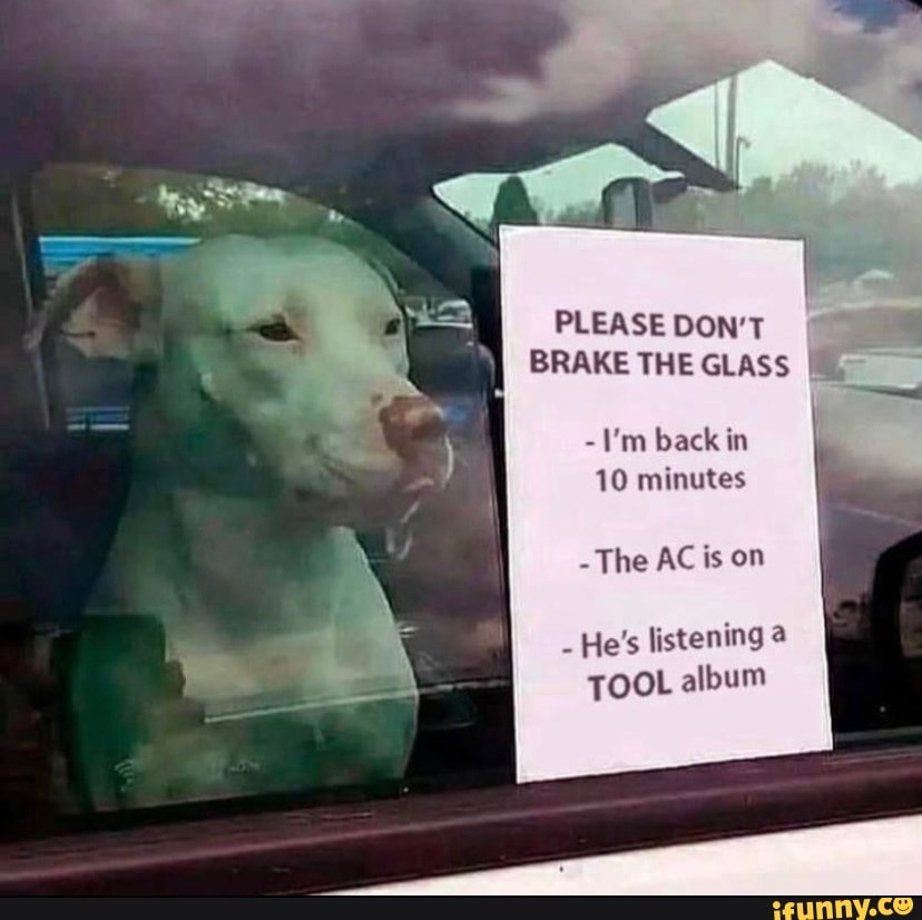 Picture memes dUwYo0078 by Yeah_Im_THAT_Guy: 0.6K comments - )