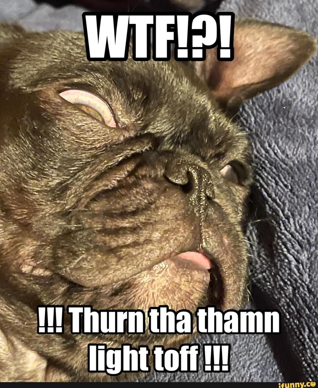 Toff memes. Best Collection of funny Toff pictures on iFunny