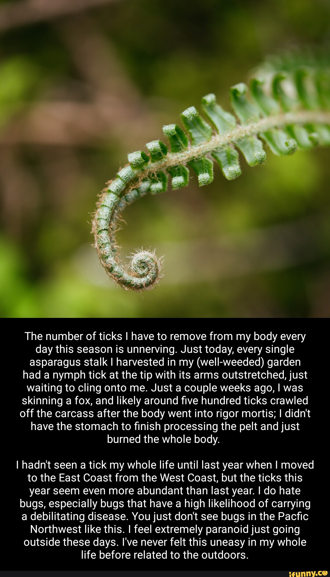 Ticks memes. Best Collection of funny Ticks pictures on iFunny