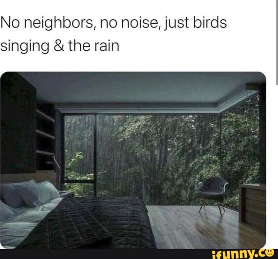 No neighbors, no noise, just birds singing & the rain I - iFunny