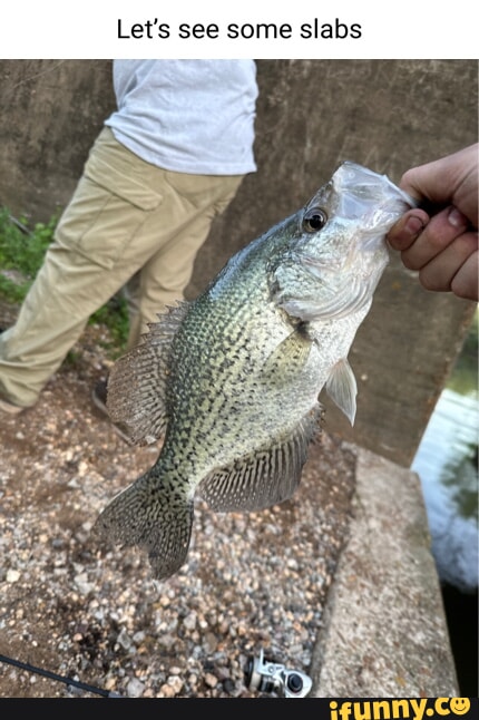 Slabs memes. Best Collection of funny Slabs pictures on iFunny