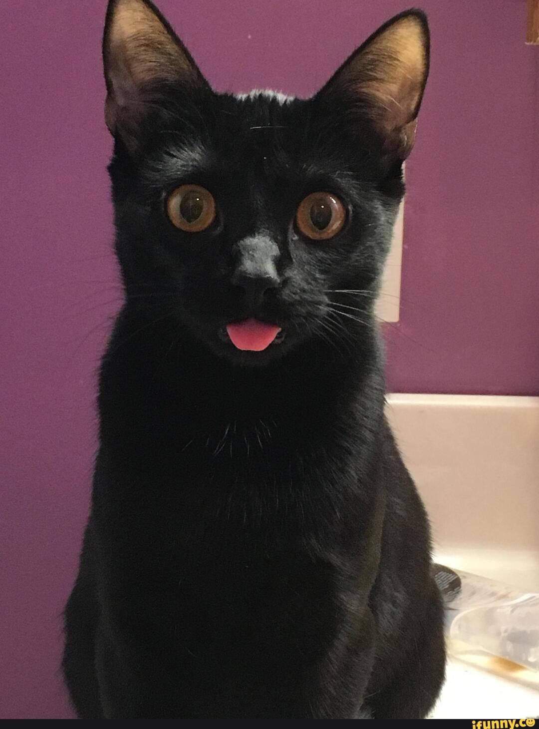 Hubert memes. Best Collection of funny Hubert pictures on iFunny