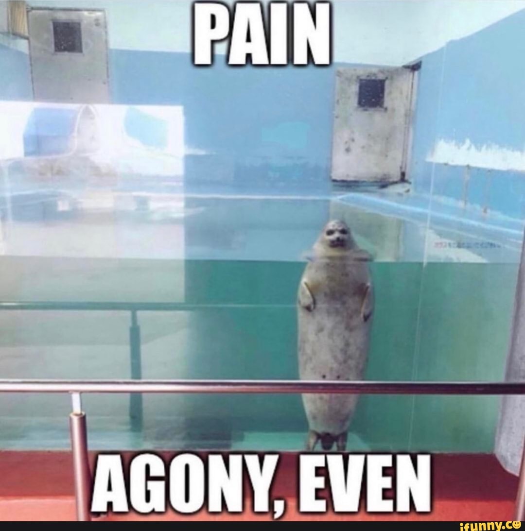 PAIN AGONY, EVEN - iFunny