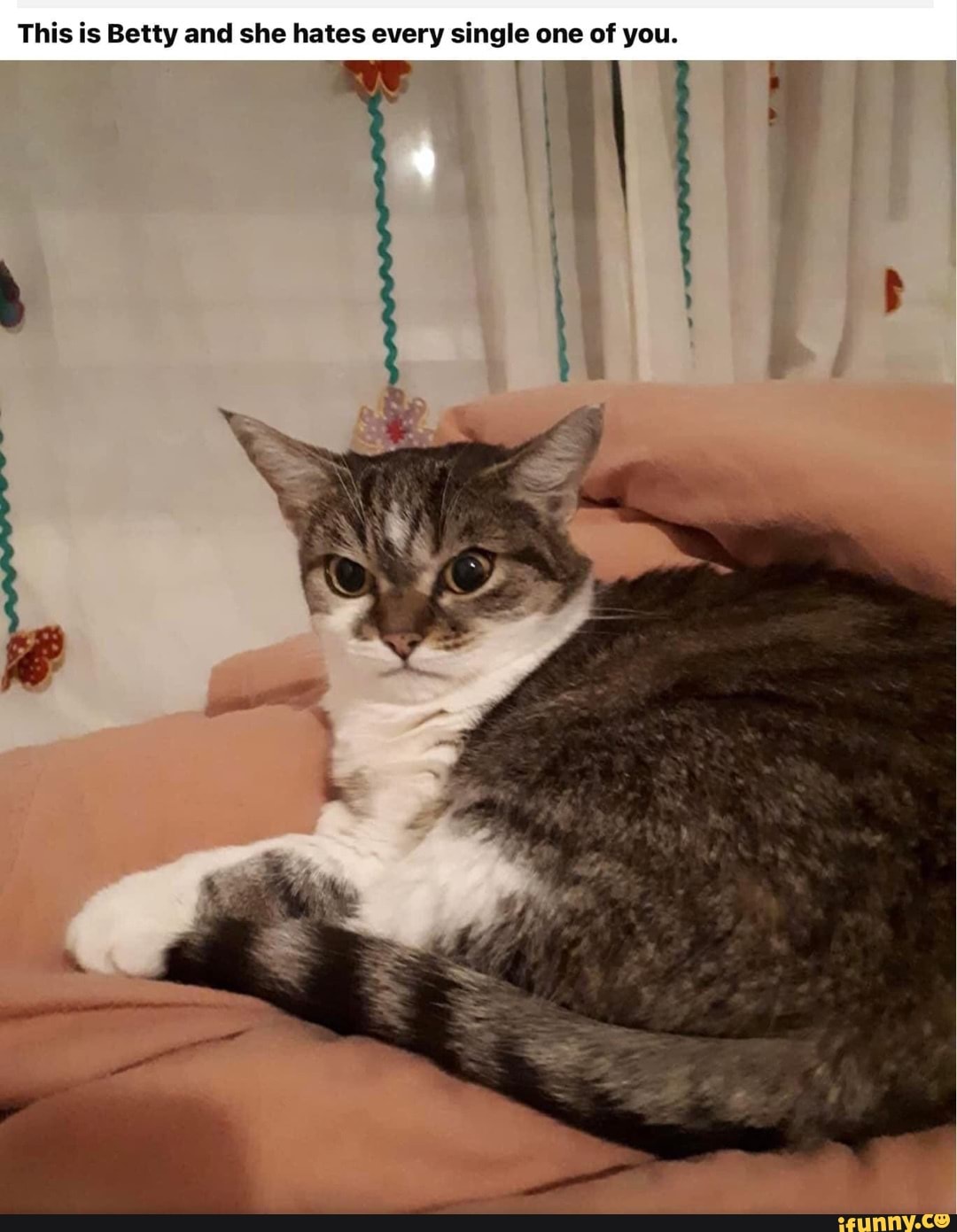 This is Betty and she hates every single one of you. - iFunny