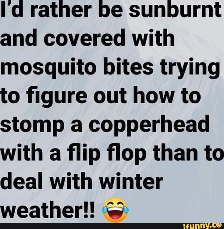 Copperhead memes. Best Collection of funny Copperhead pictures on iFunny