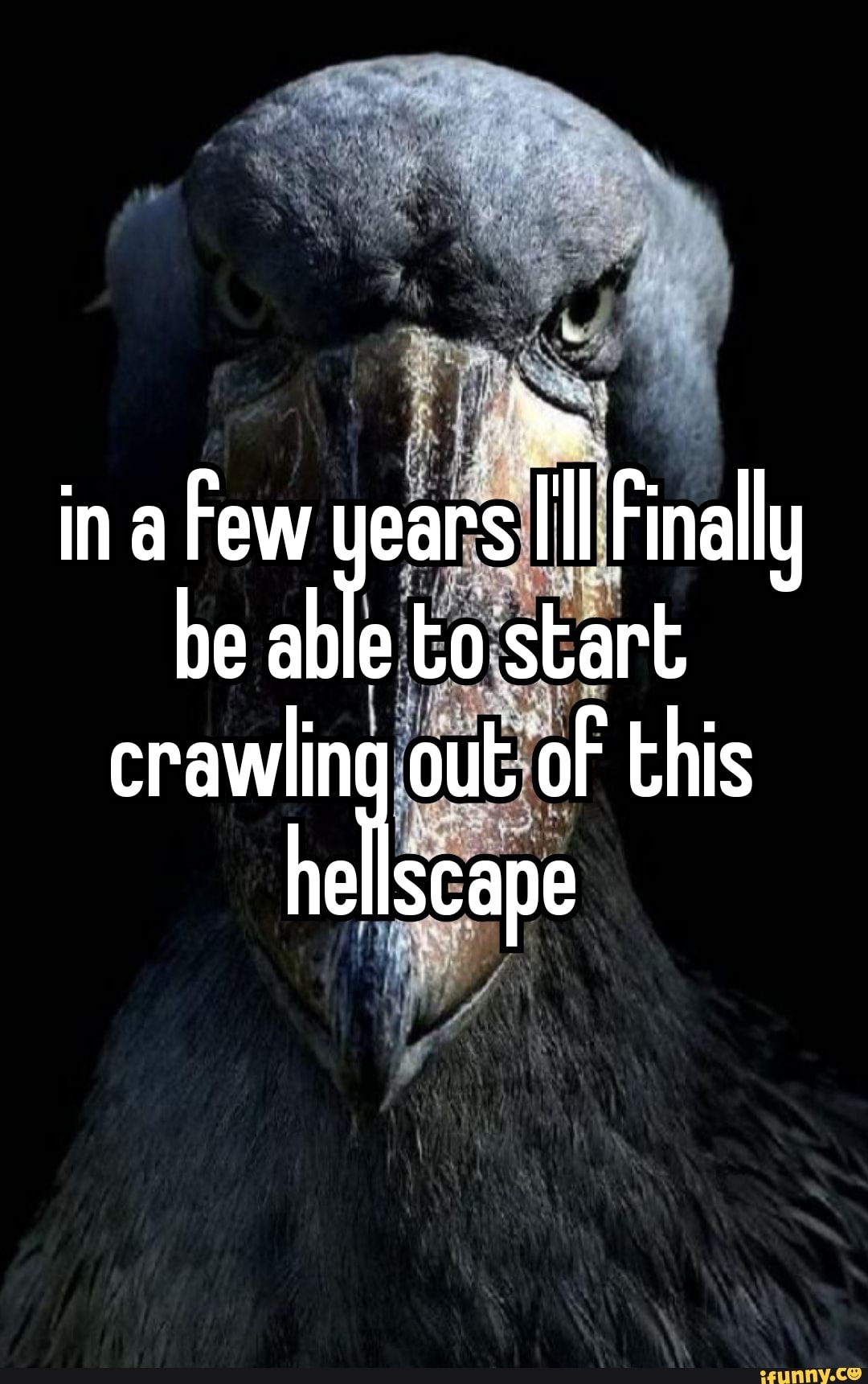 Freememestoday memes. Best Collection of funny Freememestoday pictures ...