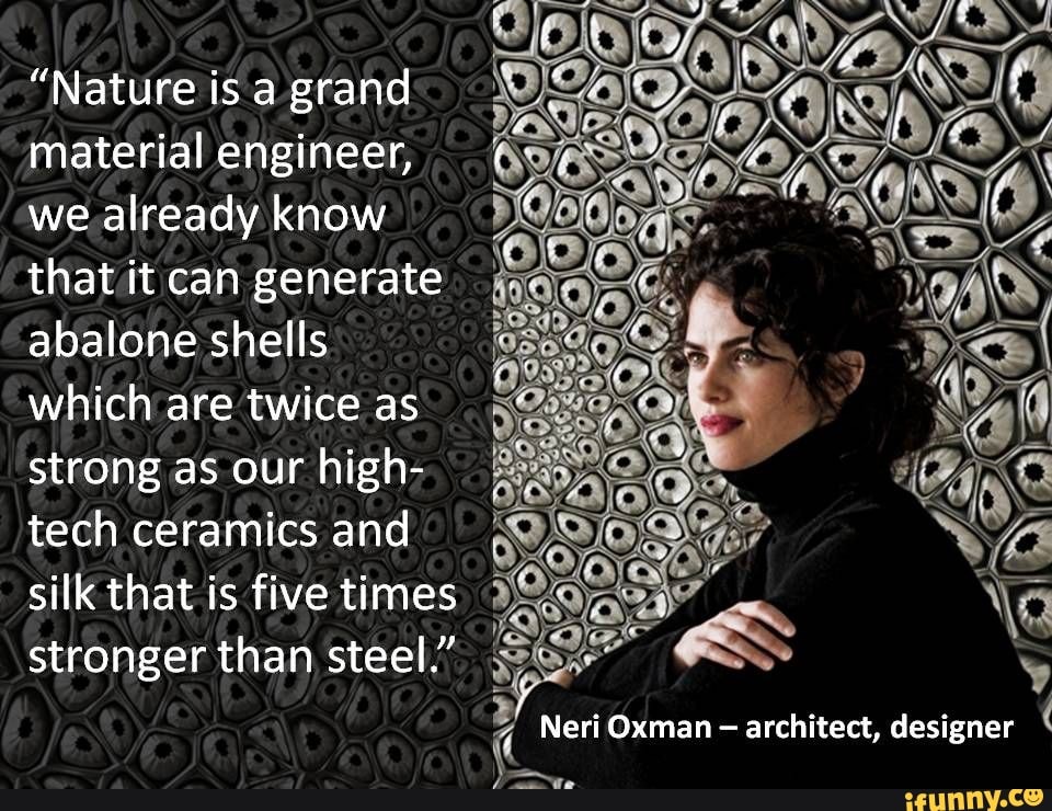 Abalone memes. Best Collection of funny Abalone pictures on iFunny