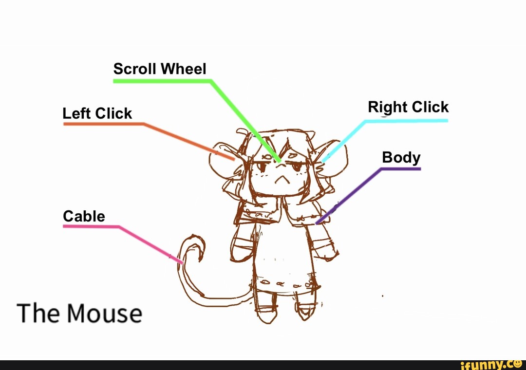 Scroll Wheel Left Click Right Click Body The Mouse - iFunny