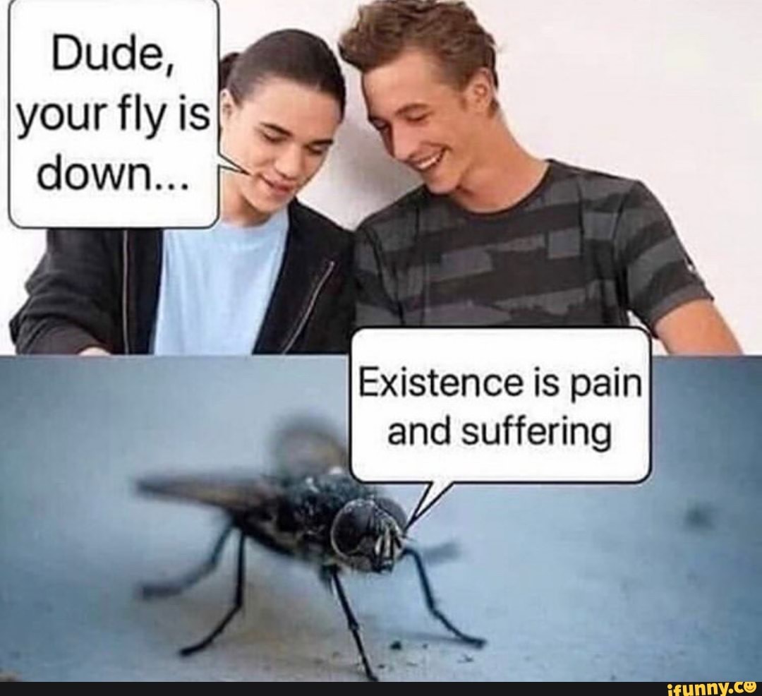 Dude, your fly is down... Existence is pain ! and suffering - iFunny