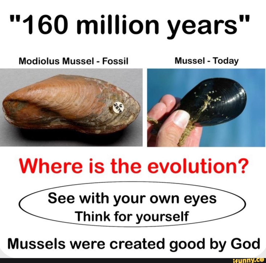Mussel memes. Best Collection of funny Mussel pictures on iFunny