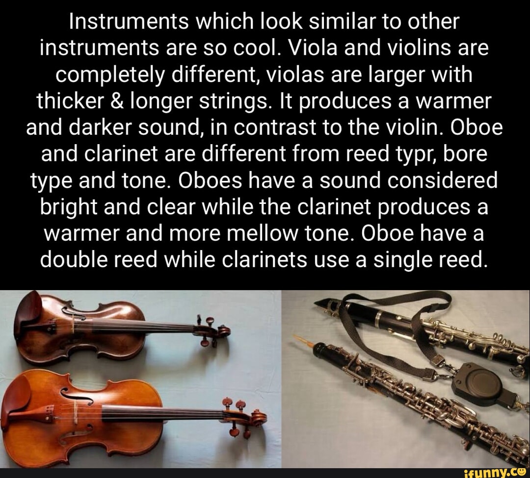 Instruments which look similar to other instruments are so cool. Viola ...