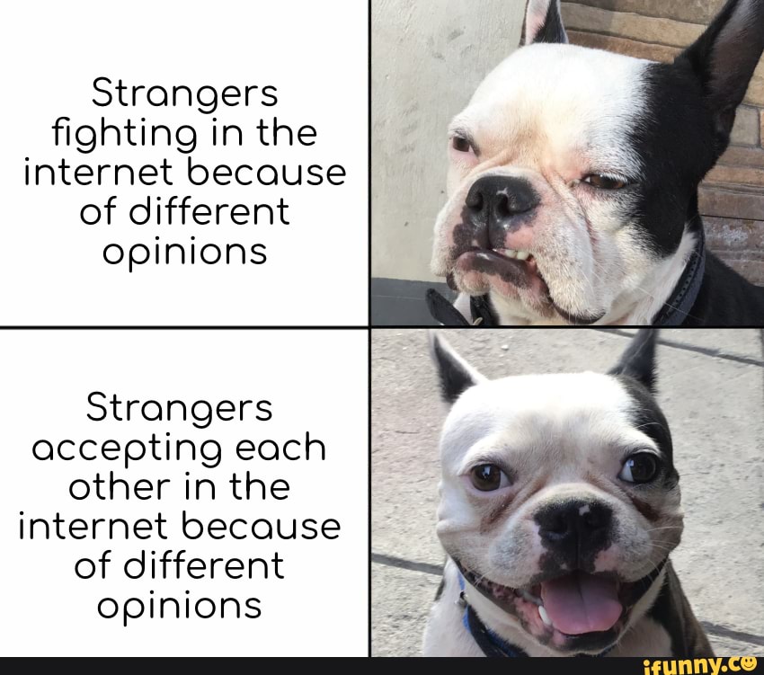Strangers fighting in the internet because of different opinions Ss ...