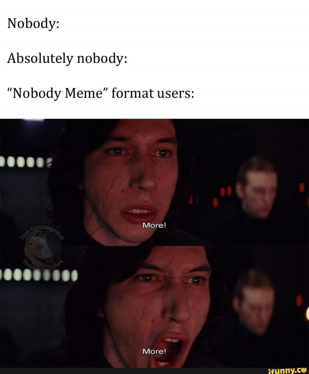 Nobody: Absolutely nobody: "Nobody Meme" format users: More! 300 More ...