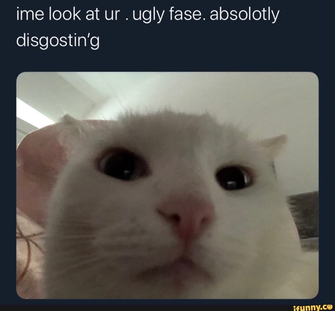 Ime look at ur ugly fase. absolotly disgostin'g - iFunny