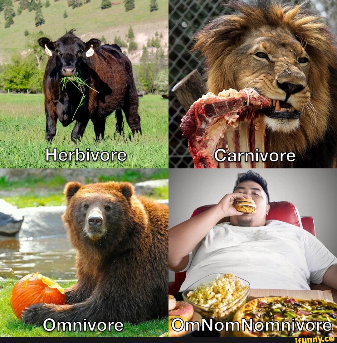 Herbivore Omnivore Carnivore OmNomNomnivore - iFunny