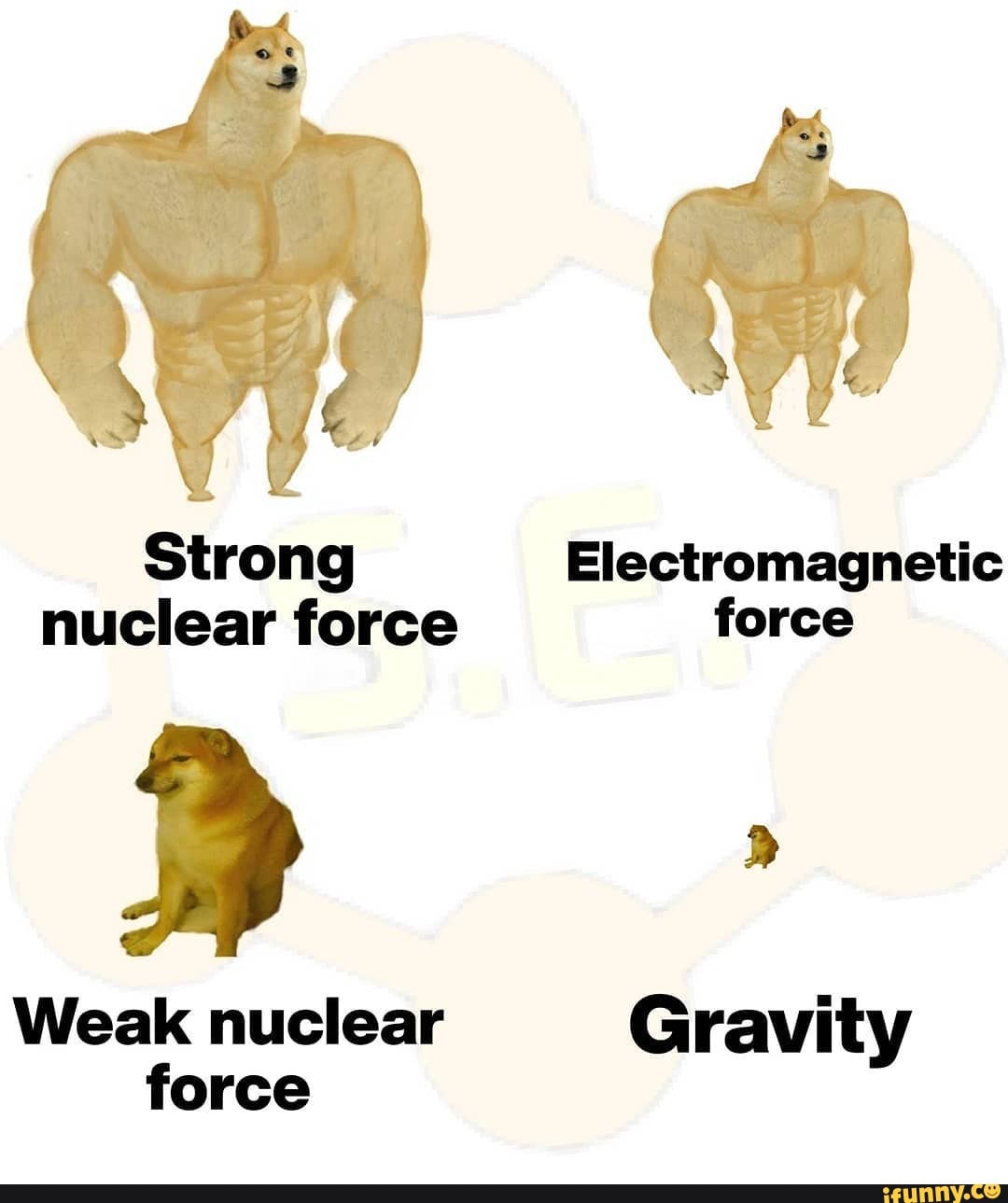 Strong Electromagnetic nuclear force force Weak nuclear Gravity force ...