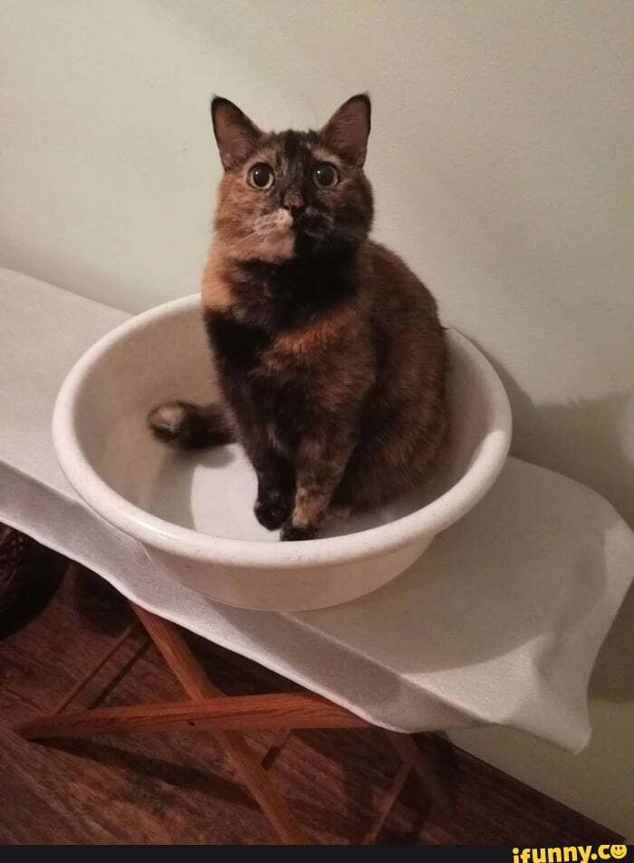 Two_face memes. Best Collection of funny Two_face pictures on iFunny