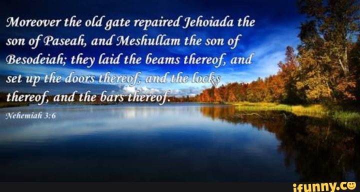 Moreover the old gate repaired Jehoiada the son of Paseah, and Meshullam the son of Besodeiah ...