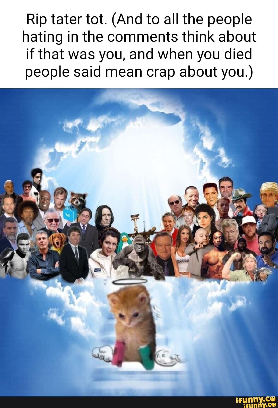 Rip Images And Comments