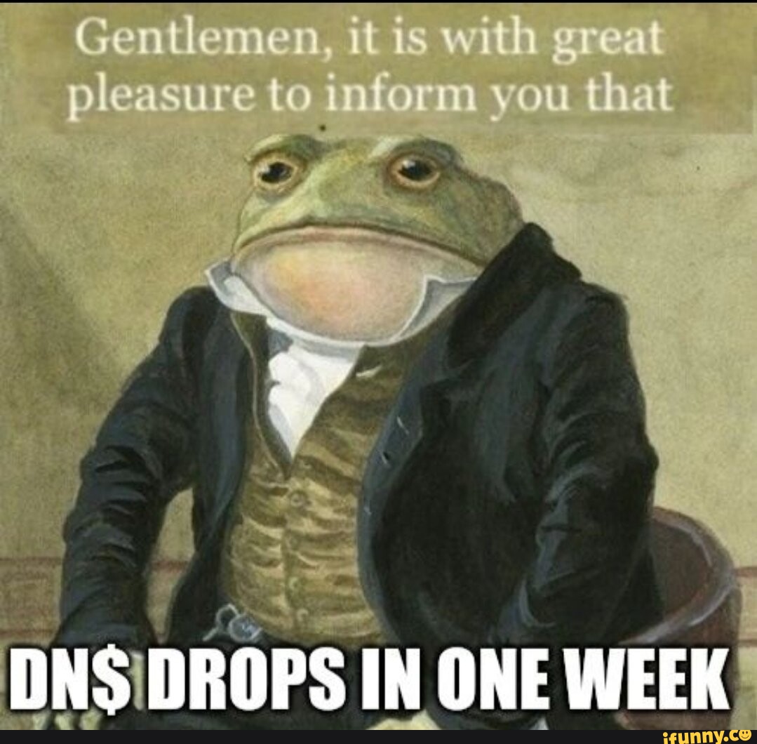 Dns memes. Best Collection of funny Dns pictures on iFunny