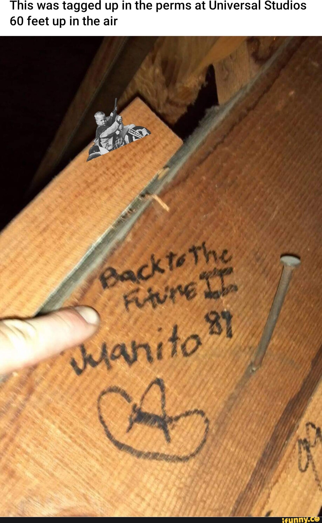 Perms memes. Best Collection of funny Perms pictures on iFunny