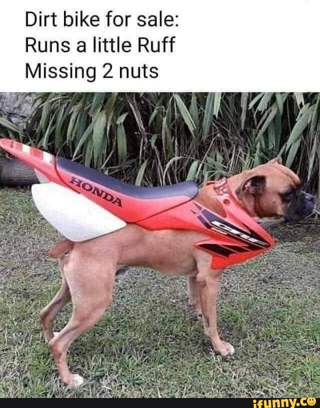 Dirt bike for sale: Runs a little Ruff Missing 2 nuts - iFunny
