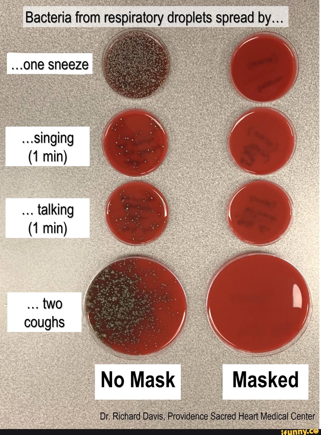 Bacteria from respiratory droplets spread by. one sneeze ...singing ...