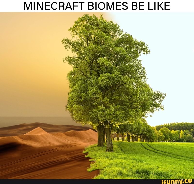 MINECRAFT BIOMES BE LIKE - iFunny