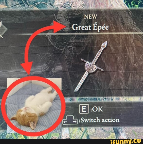 Yor Forger Sauce Codes In The Comments - iFunny