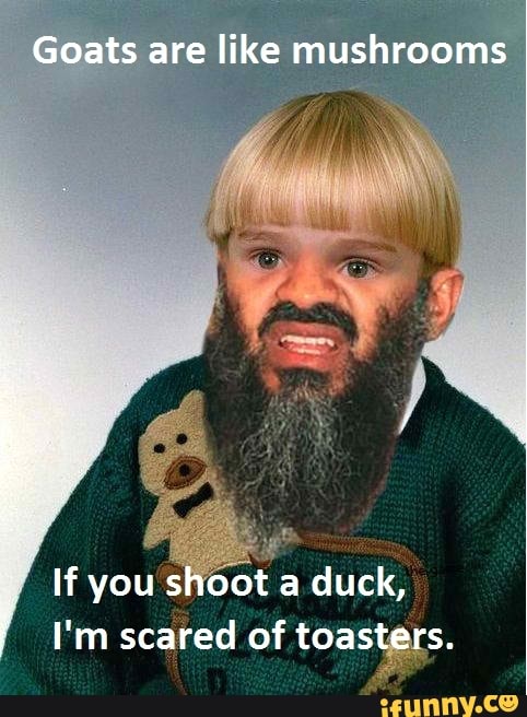 Goats are like mushrooms If you shoot a duck, I'm scared of toasters ...
