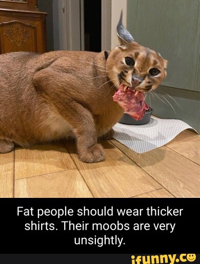 Fat people should wear thicker shirts. Their moobs are very unsightly ...