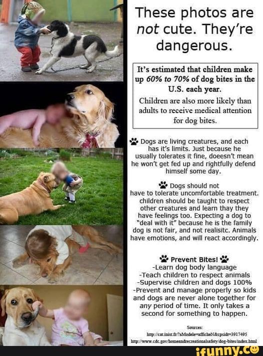 Please Don't Encourage This - These photos are not cute. They're ...