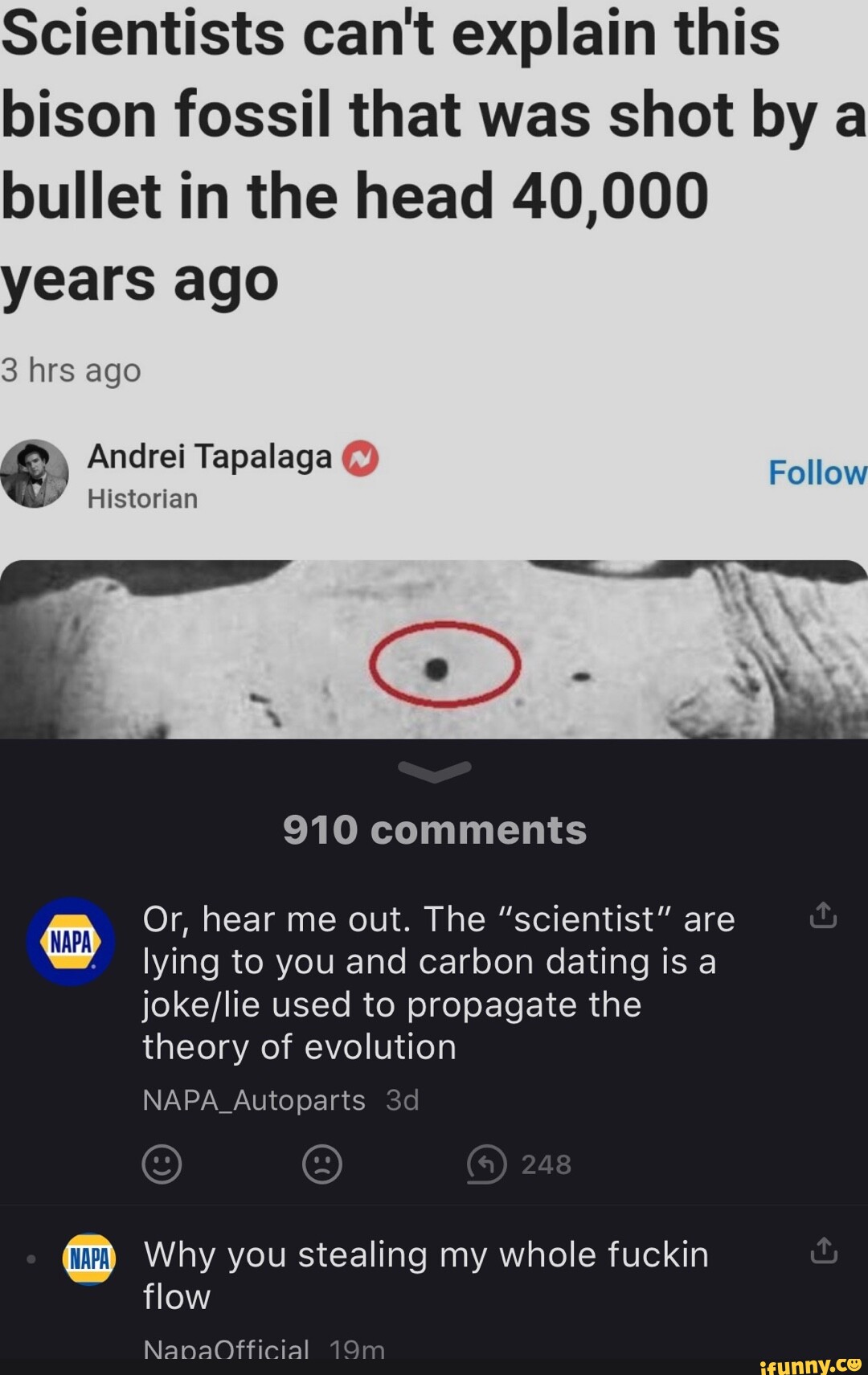 Scientists can't explain this bison fossil that was shot by a bullet in ...