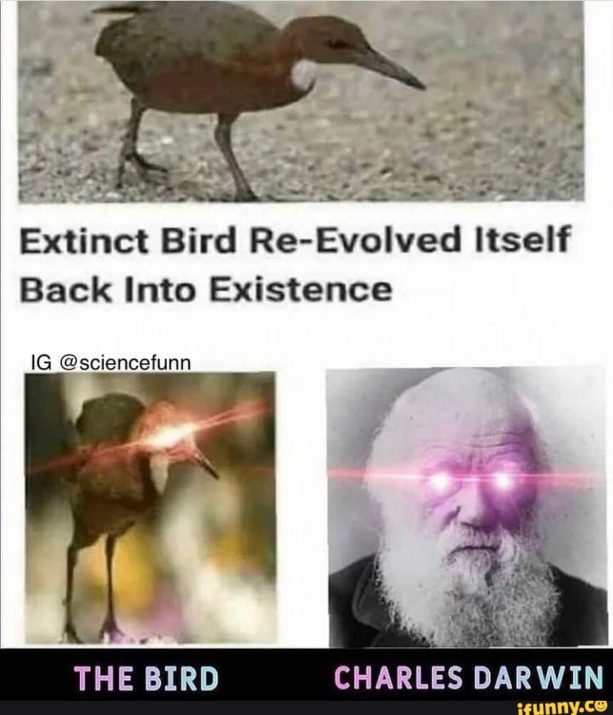 Extinct Bird Re- Evolved Itself Back Into Existence IG @sciencefunn THE ...