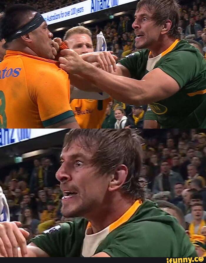 Springboks memes. Best Collection of funny Springboks pictures on iFunny