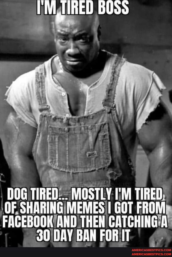 TIRED BOSS DOG TIRED... MOSTLY I'M TIRED OF SHARING MEMES I GOT FROM ...