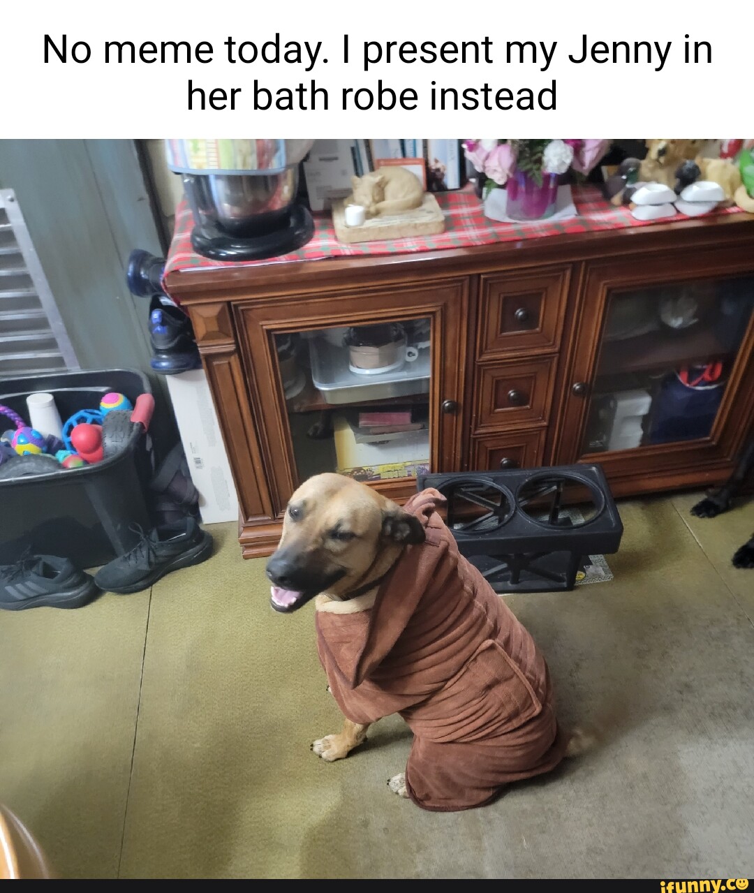 No meme today. I present my Jenny in her bath robe instead - iFunny