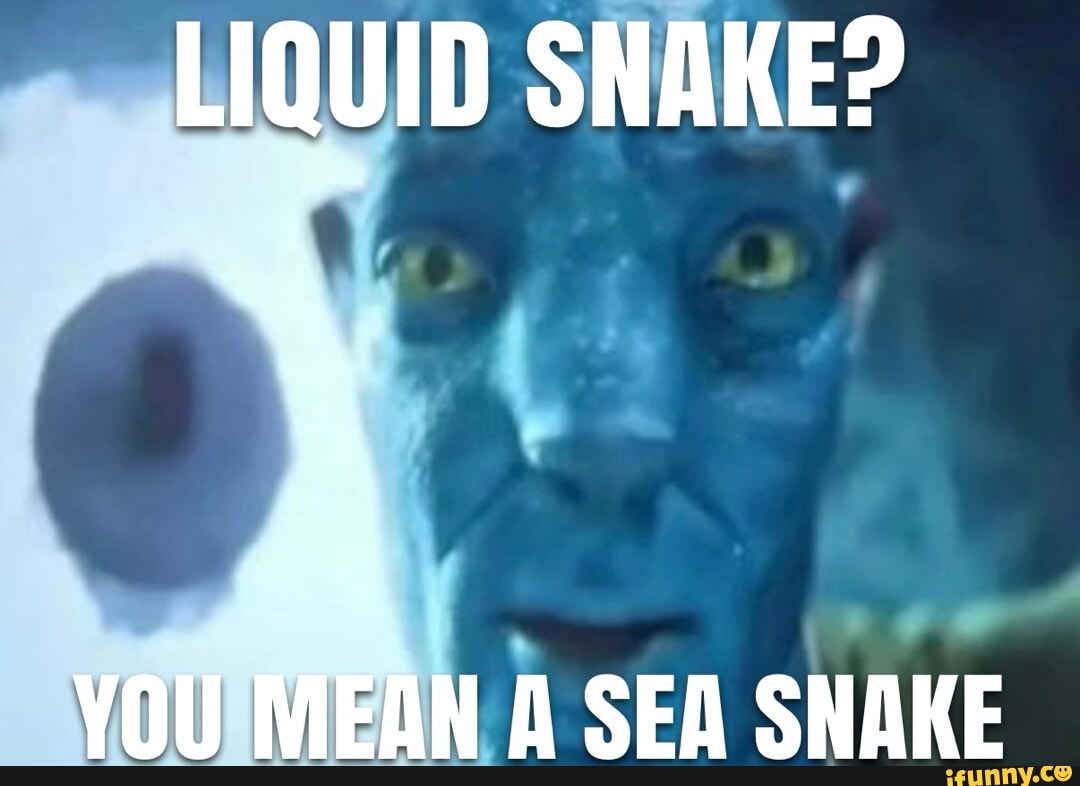 LIQUID SNAKE? YOU MEAN A SEA SNAKE - iFunny
