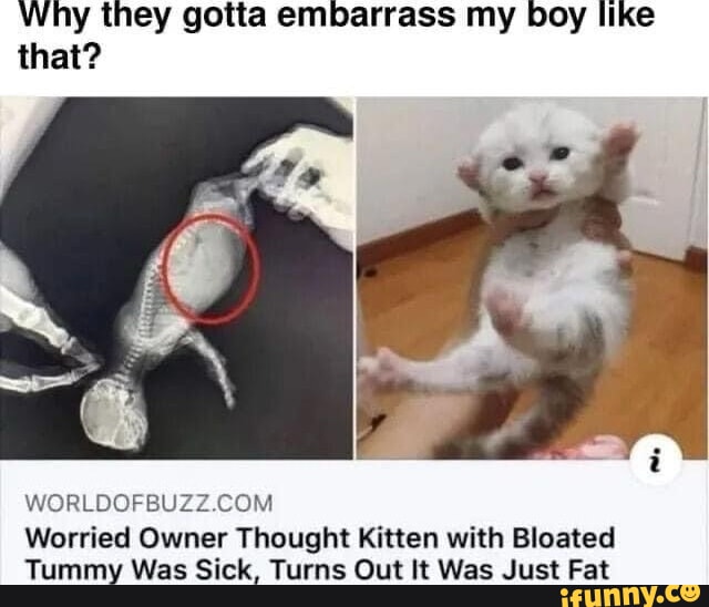 Bloated memes. Best Collection of funny Bloated pictures on iFunny