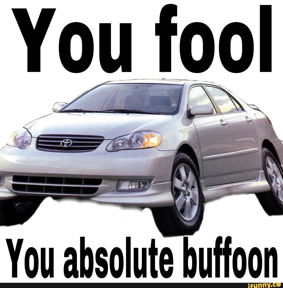 You absolute buffoon - iFunny