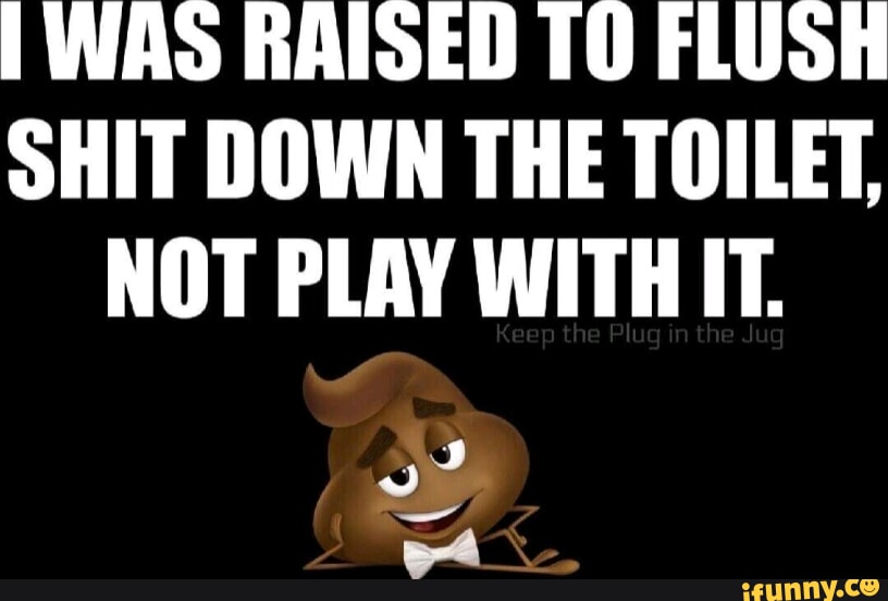 WAS RAISED FLUSH SHIT DOWN THE TOILET, NOT PLAY WITH IT. - iFunny