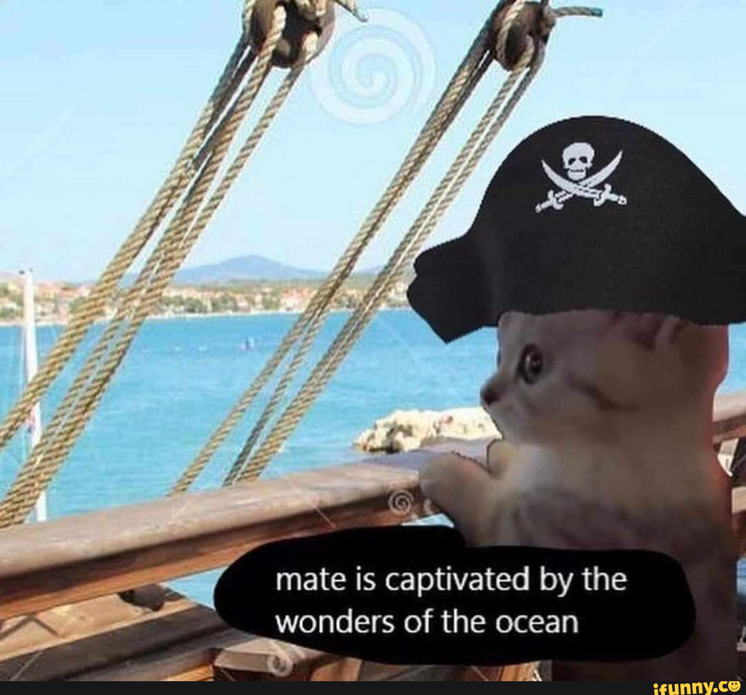 Friend: you cannot understand a Gravity Falls meme without subtitle ...