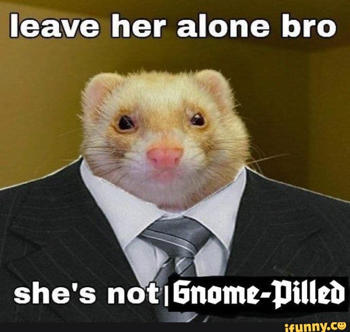 Images of Note: You wouldn't just go feral - leave her alone bro she's ...