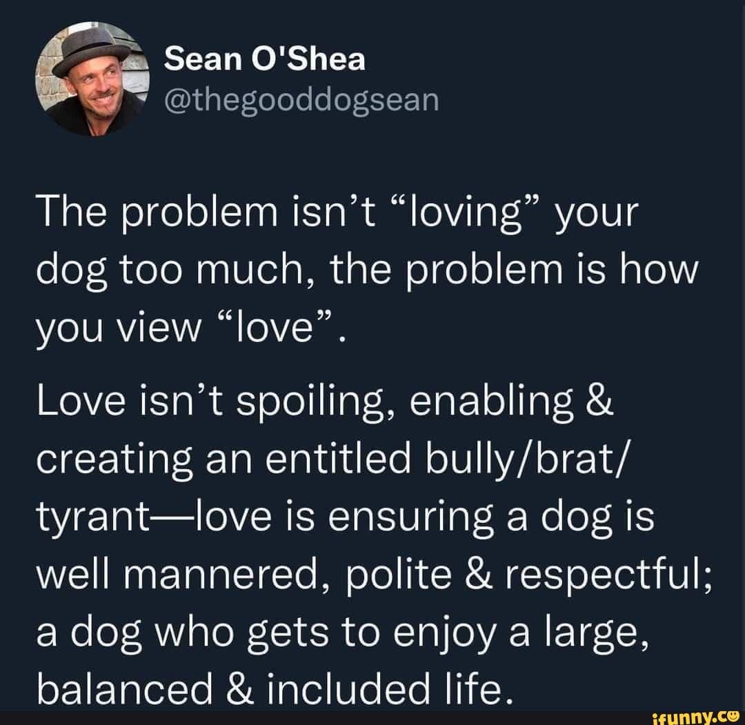 Spoiling memes. Best Collection of funny Spoiling pictures on iFunny