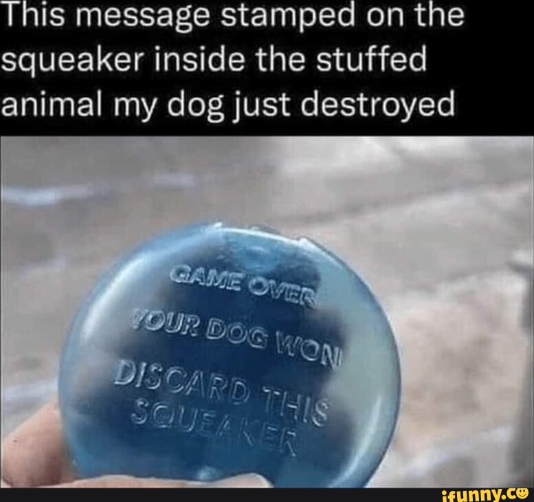 Squeaker memes. Best Collection of funny Squeaker pictures on iFunny